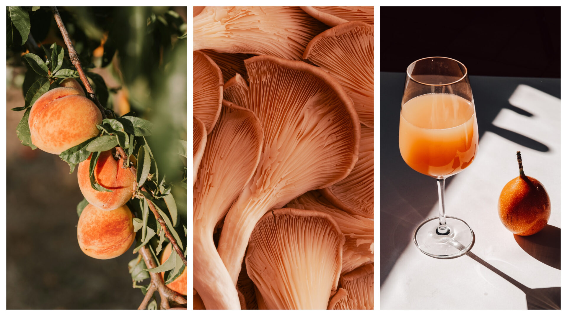 Talentchef desvela 5 claves para integrar el color Pantone del año en ...