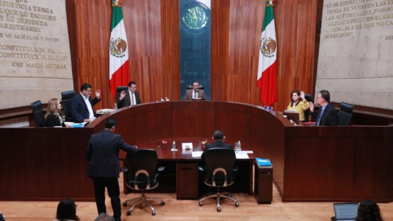 Tribunal anuló la multa impuesta a la activista Emma Zermeño por sus ...